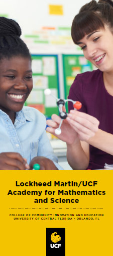 Lockheed Martin Academy - College of Community Innovation and Education