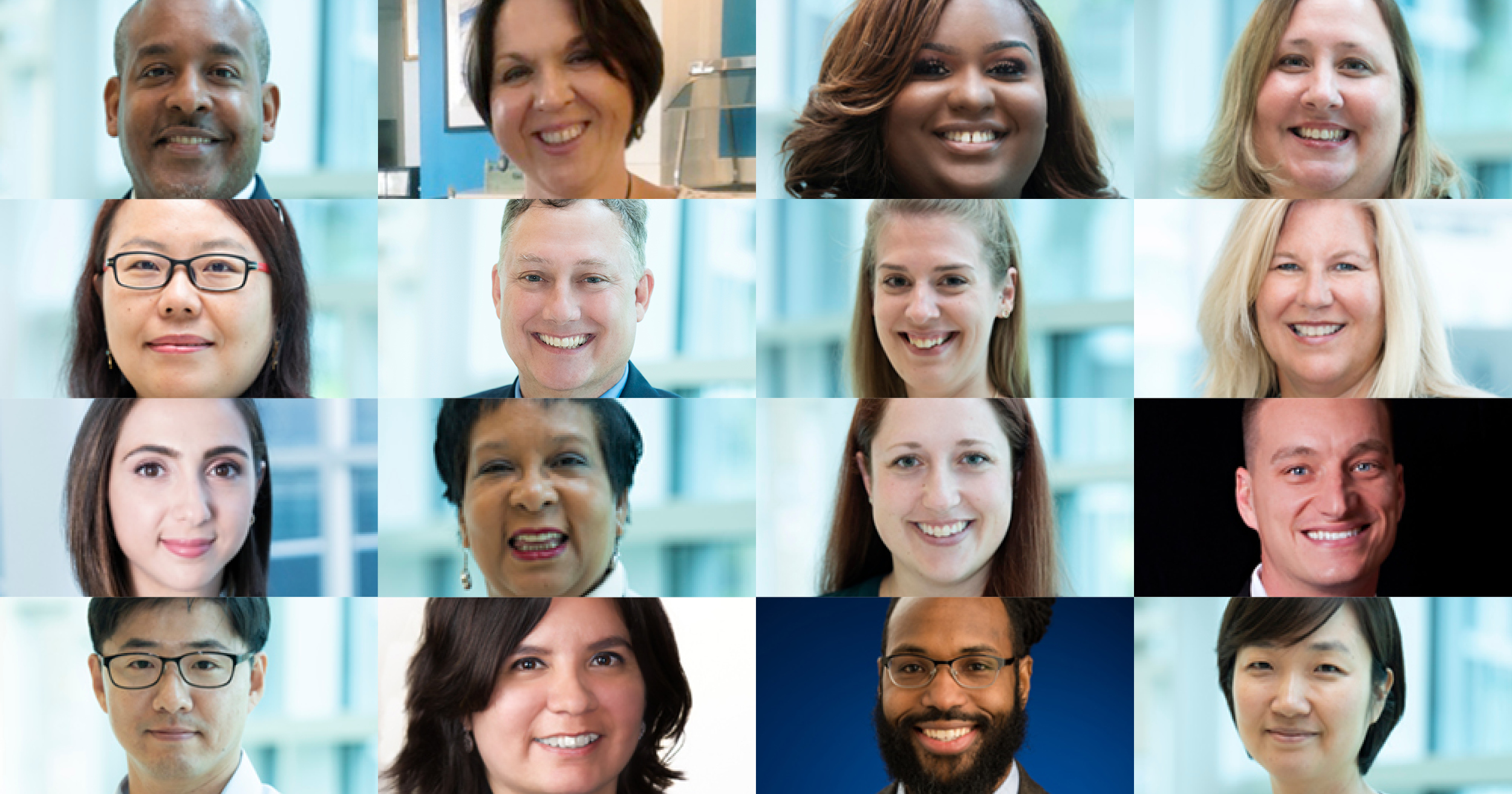 Meet Our Newest Faculty